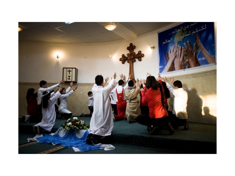 Shutka, The Roma Capital - Noria Research